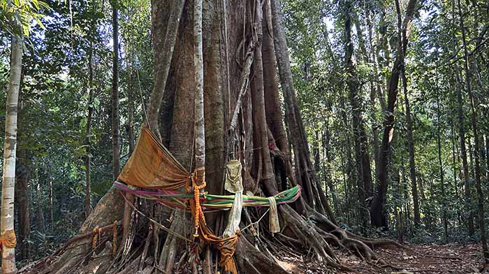 My 3-4 Days In Koh Kood Itinerary - ThailandWhereStay