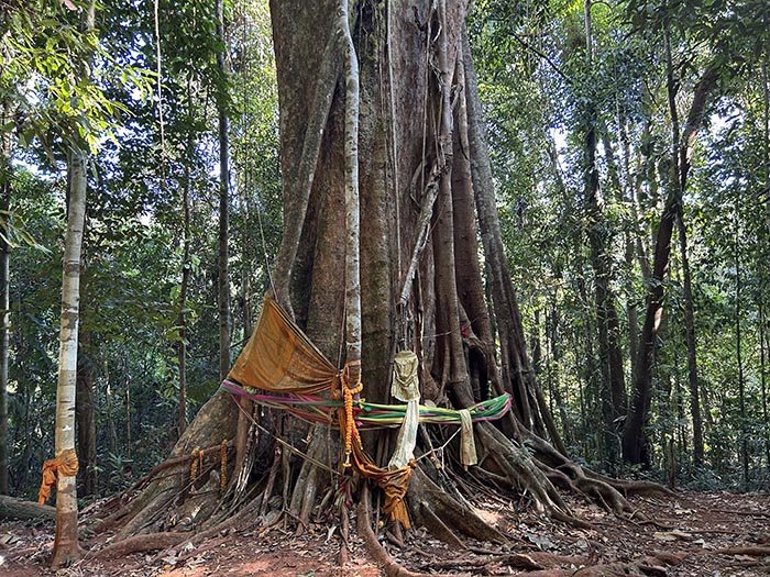 20 Awesome Things to Do in Koh Kood - ThailandWhereStay