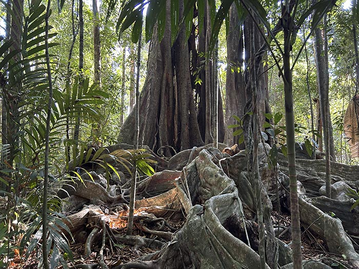 20 Awesome Things to Do in Koh Kood - ThailandWhereStay