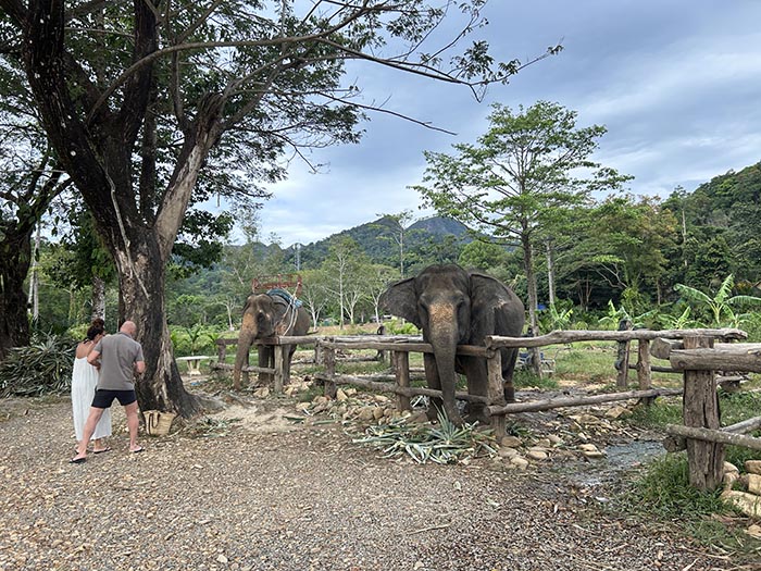 22 Exciting Things to Do in Koh Chang - ThailandWhereStay