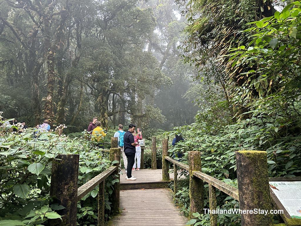 Day Trip to Doi Inthanon from Chiang Mai - ThailandWhereStay