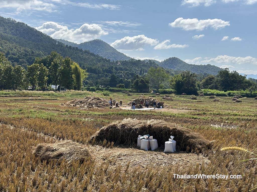 Where to Stay in Pai - ThailandWhereStay