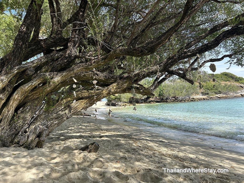 Where to stay in Koh Samet - ThailandWhereStay